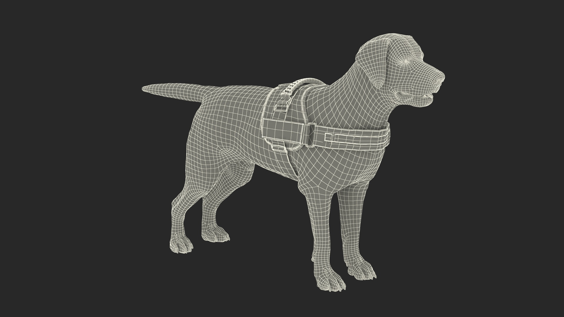Service Dog With Harness Fur 3D Model - TurboSquid 2197310