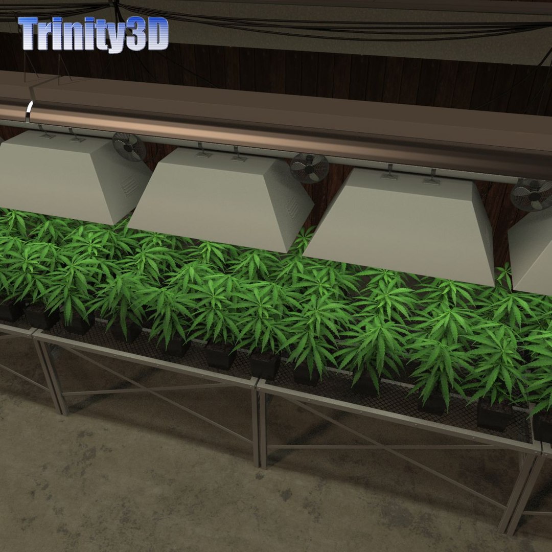 3d Marijuana Barn