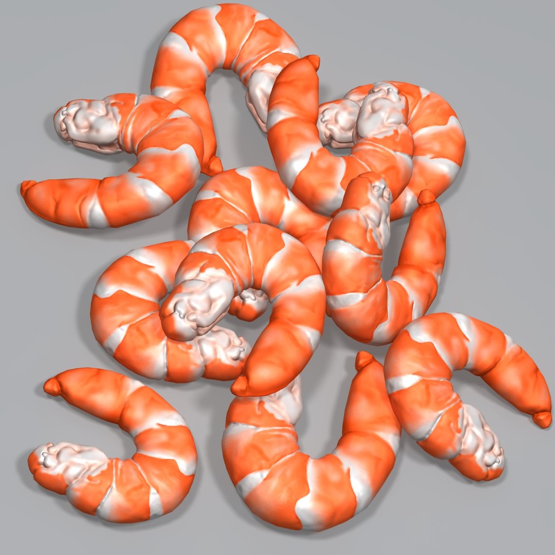 prawn 3d max