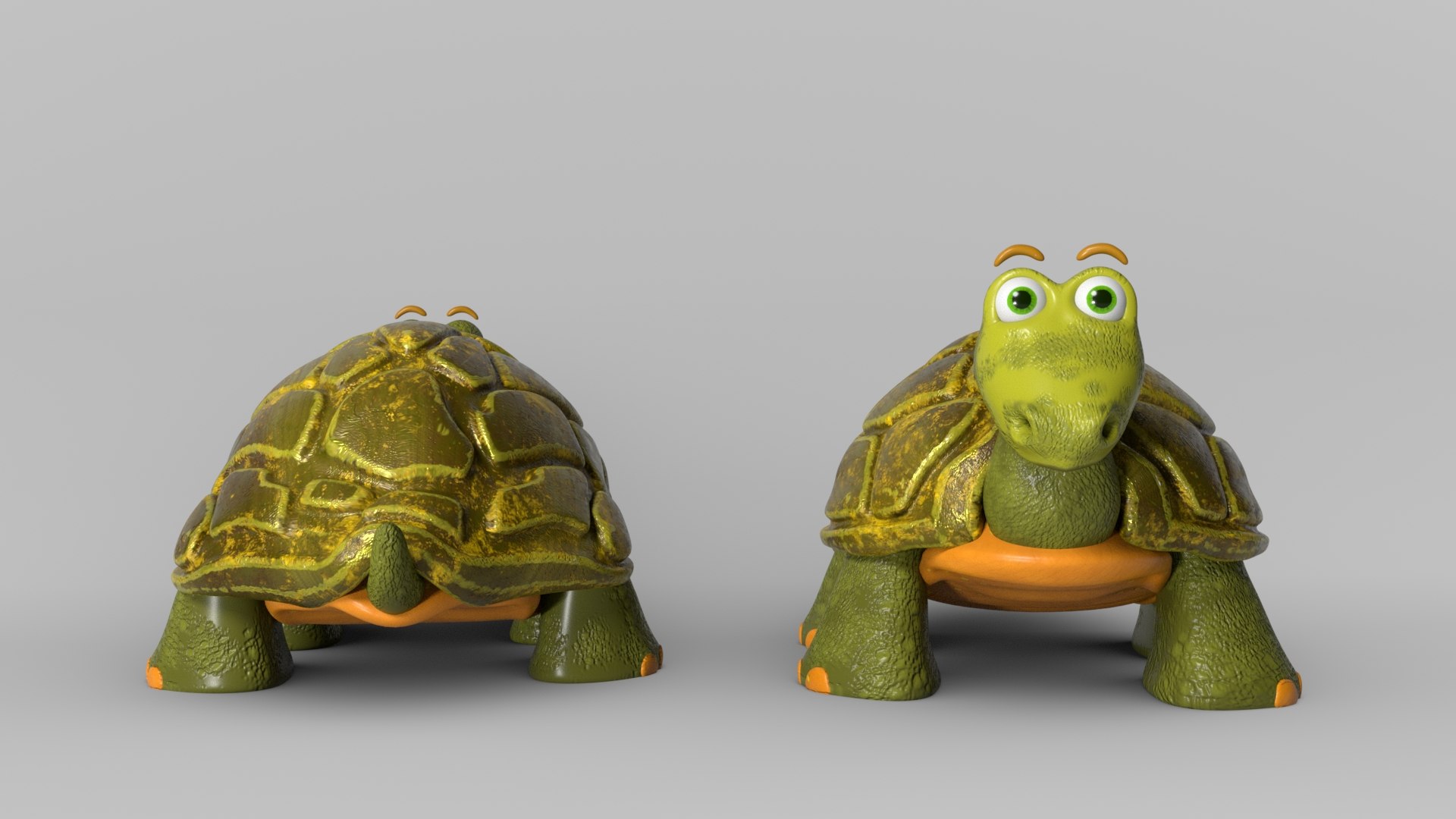 3D Tortuga -Turtle Model - TurboSquid 1847211