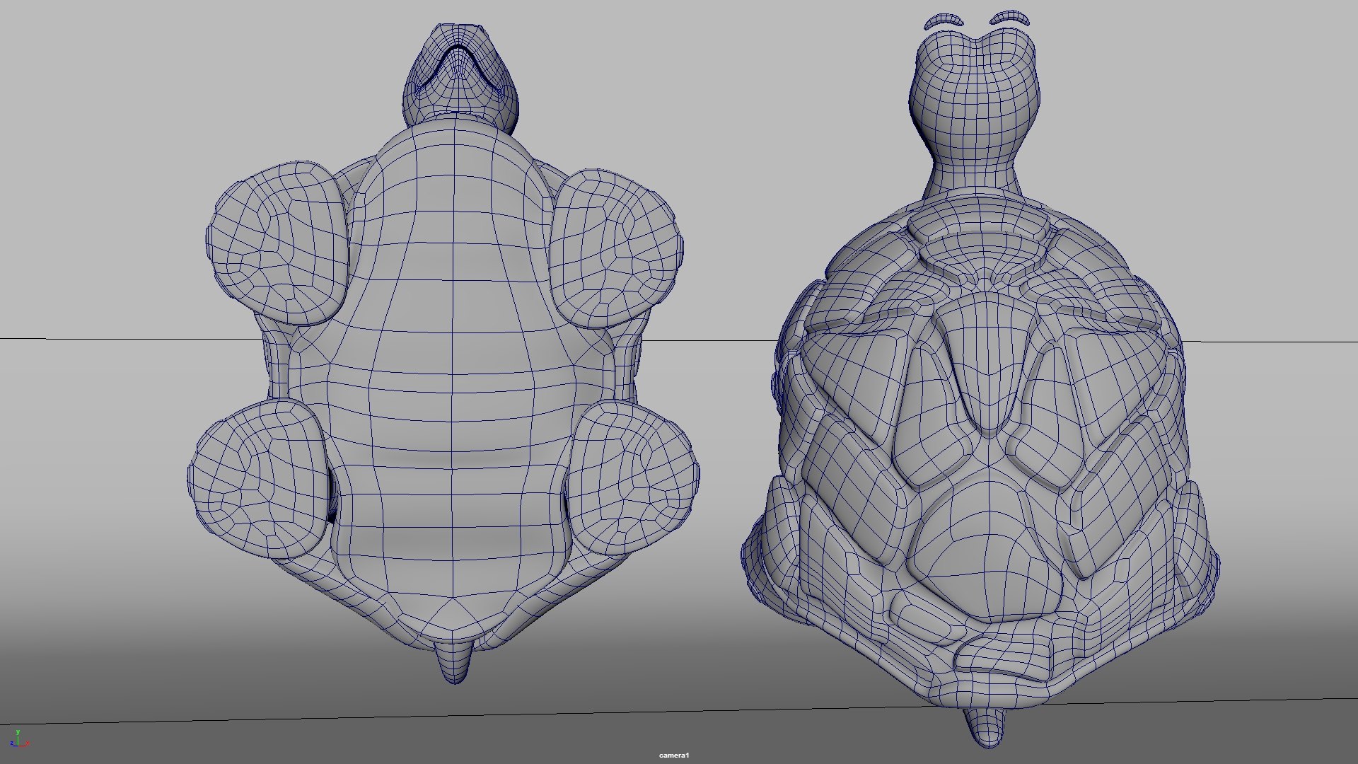 3D Tortuga -Turtle Model - TurboSquid 1847211