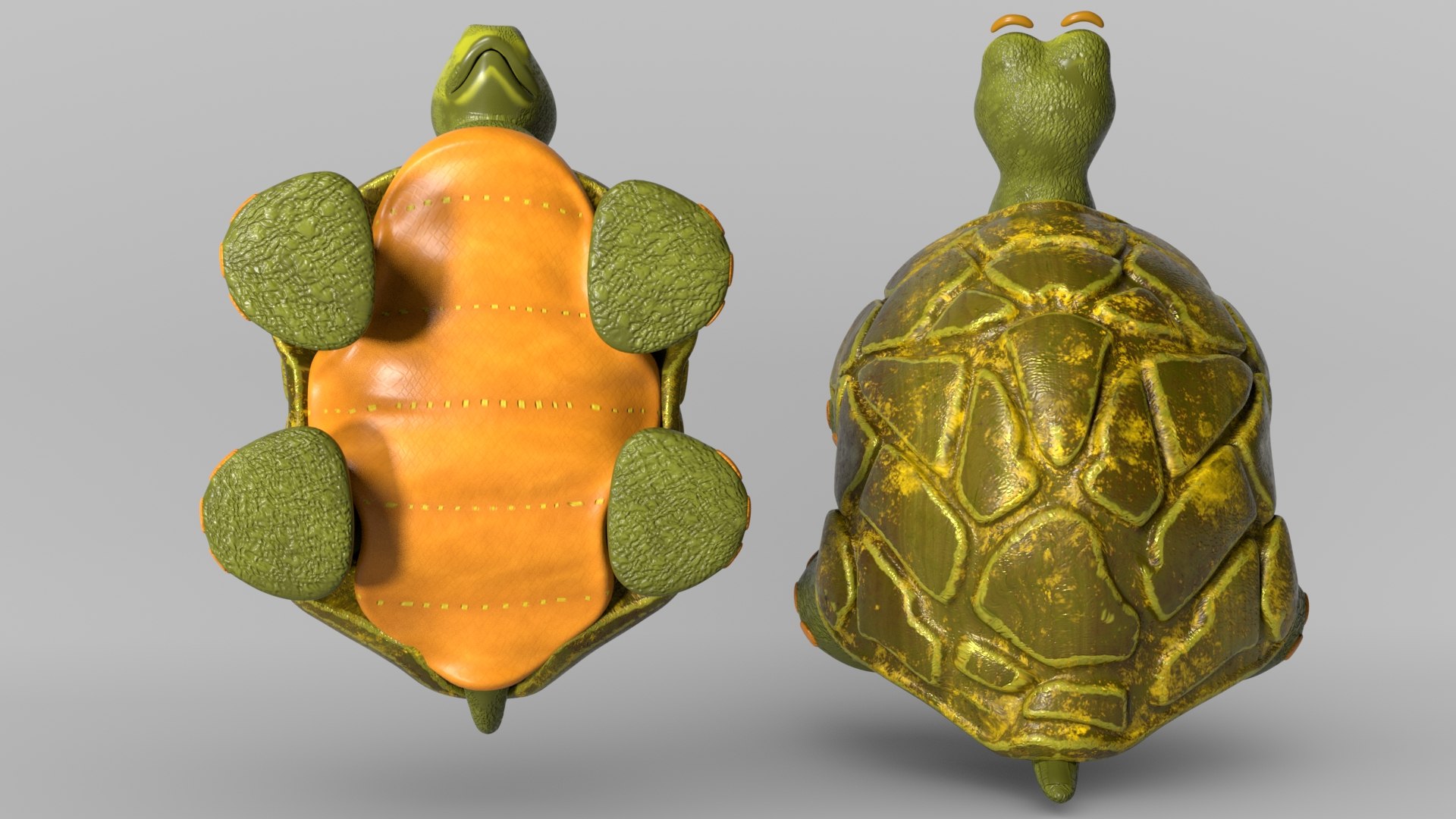 3D Tortuga -Turtle Model - TurboSquid 1847211