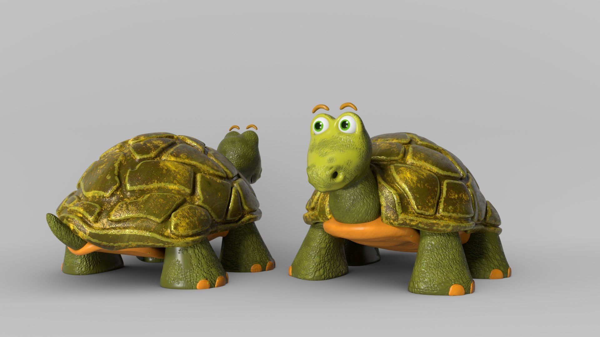 3D Tortuga -Turtle Model - TurboSquid 1847211