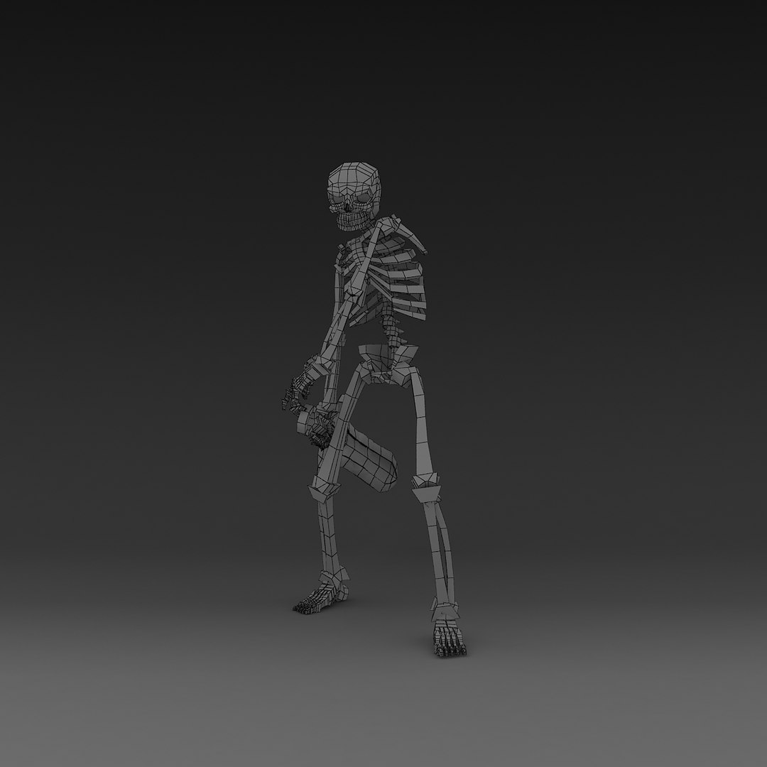 3d Model Rigged Character Animation