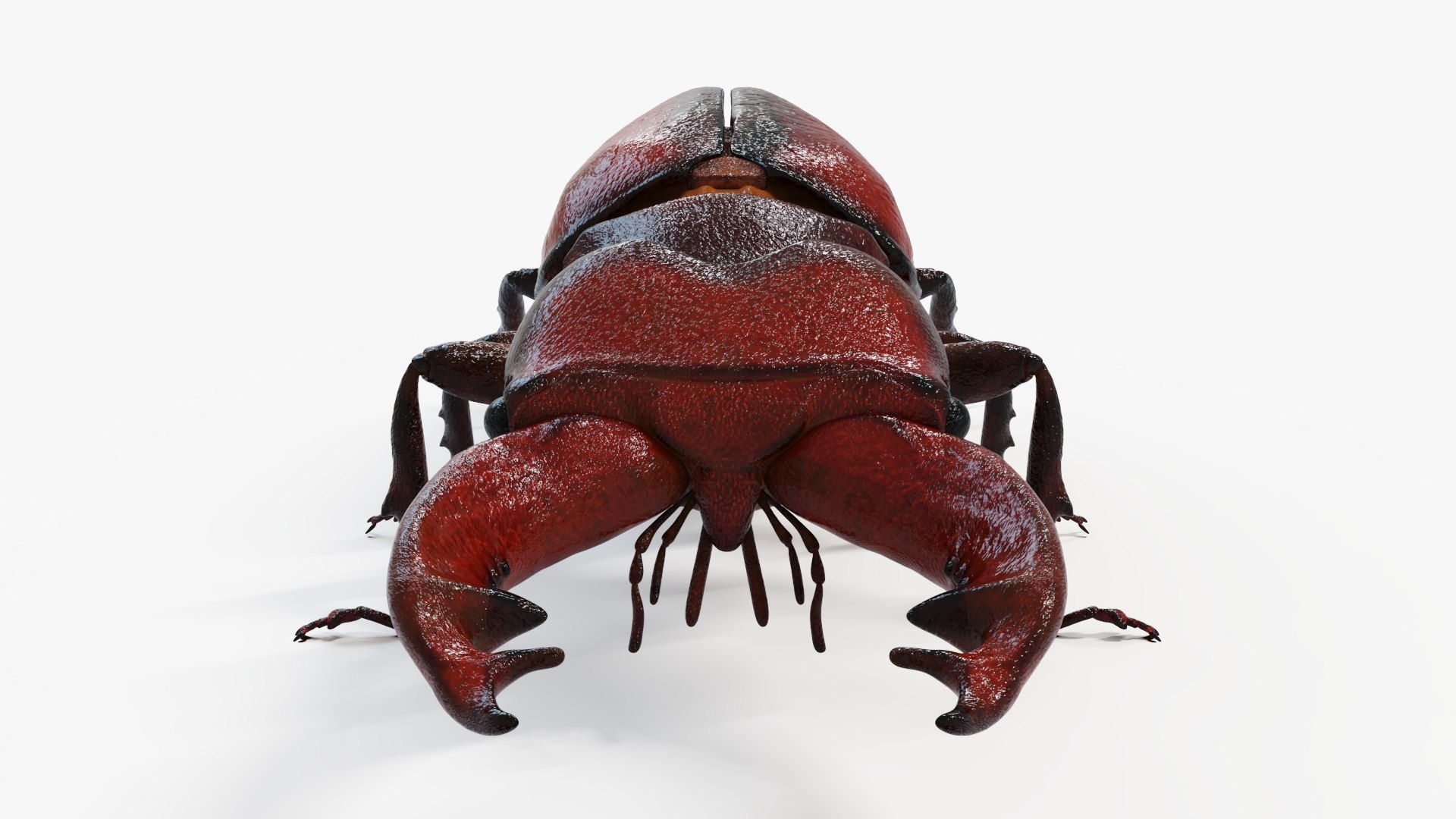 Stag Beetle Static 3D Model - TurboSquid 2070827