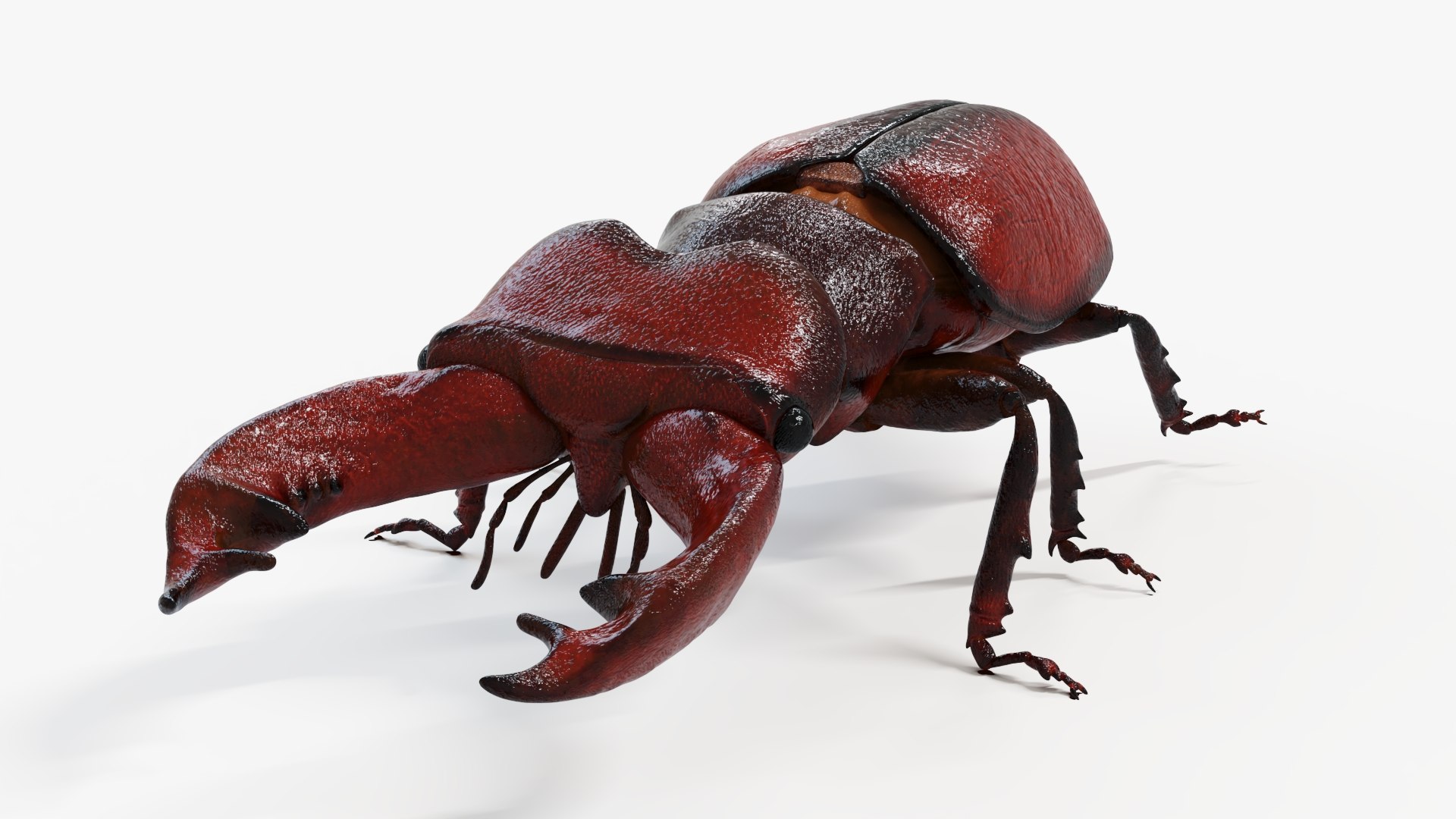 Stag Beetle Static 3D Model - TurboSquid 2070827