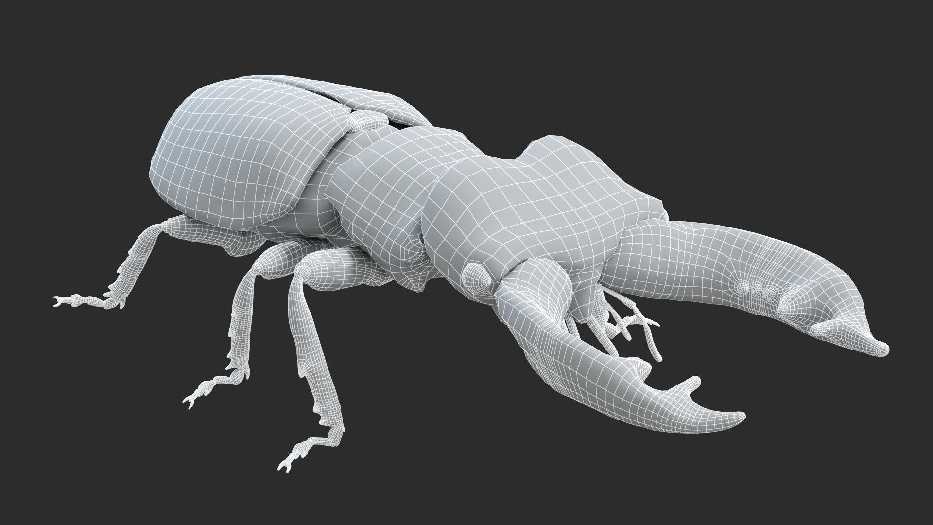 Stag Beetle Static 3D Model - TurboSquid 2070827