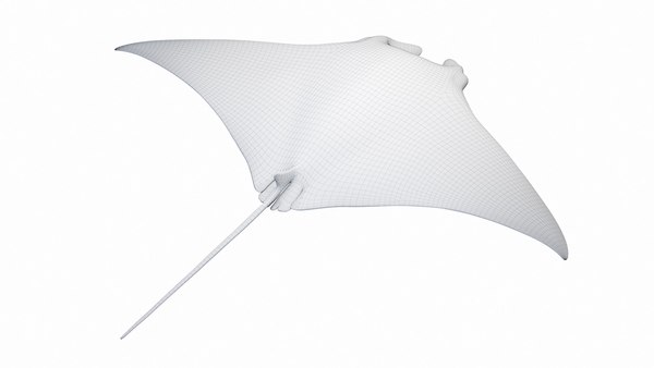 Manta Ray3Dモデル - TurboSquid 1953227