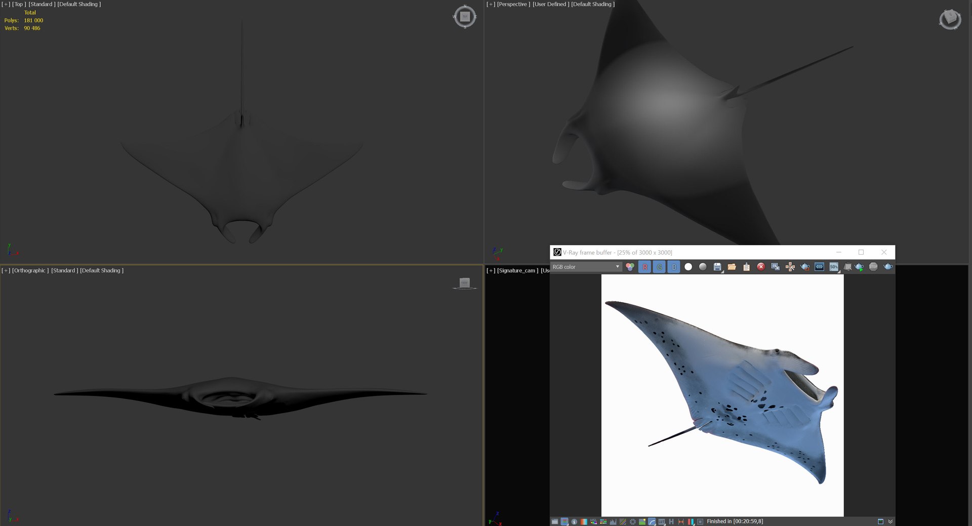3D Manta Ray Model - TurboSquid 1953227