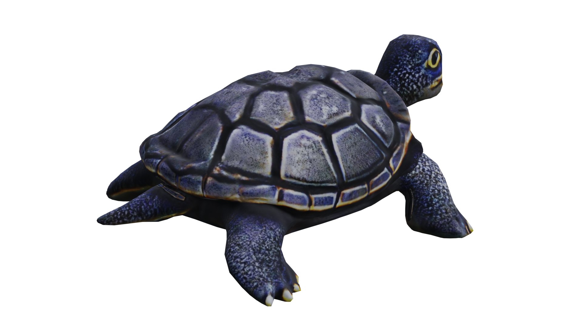 3D Model Gray Turtle Low Poly - TurboSquid 2209000