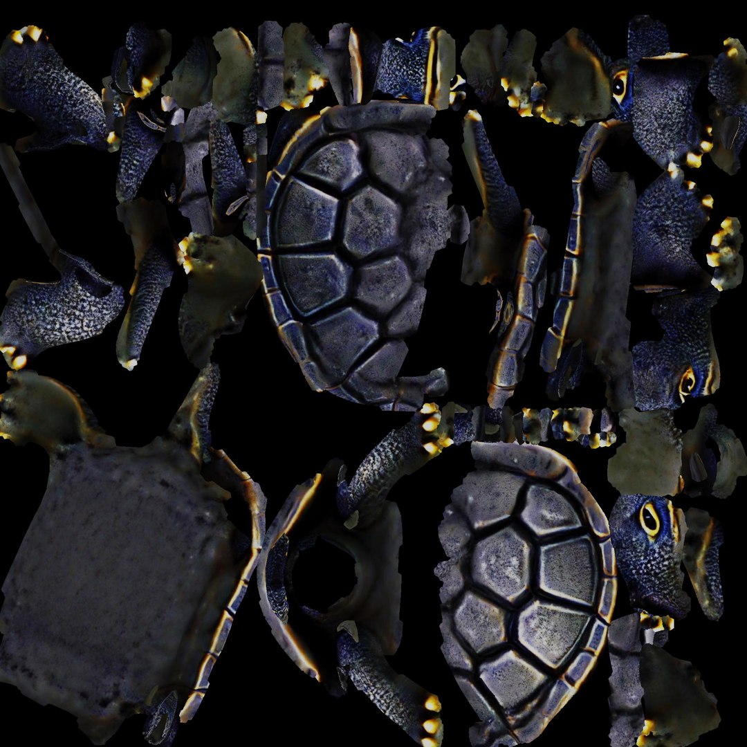 3D Model Gray Turtle Low Poly - TurboSquid 2209000