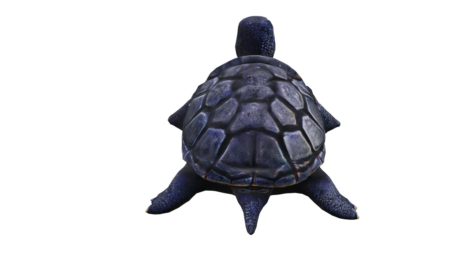 3D Model Gray Turtle Low Poly - TurboSquid 2209000