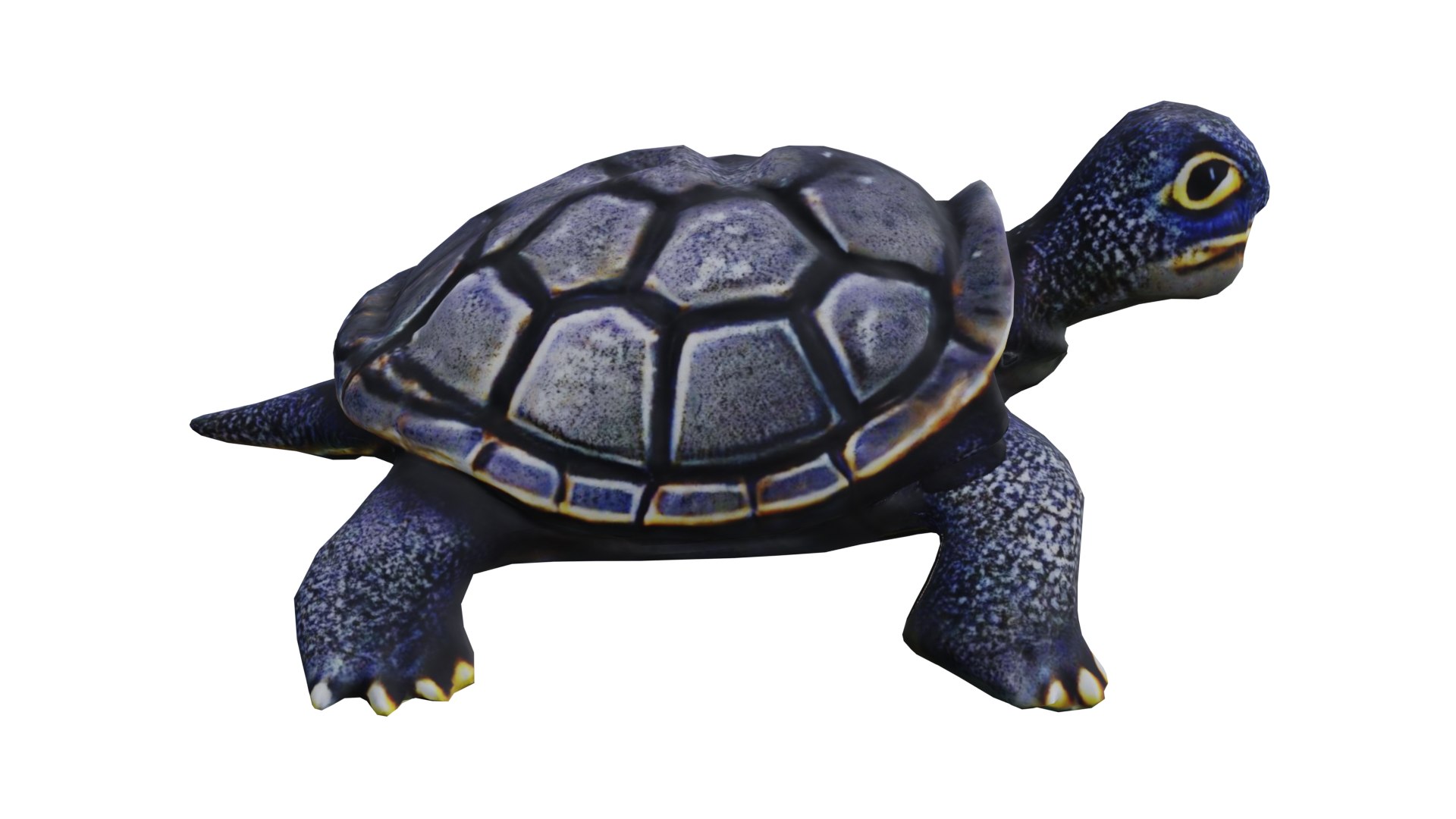 3D Model Gray Turtle Low Poly - TurboSquid 2209000