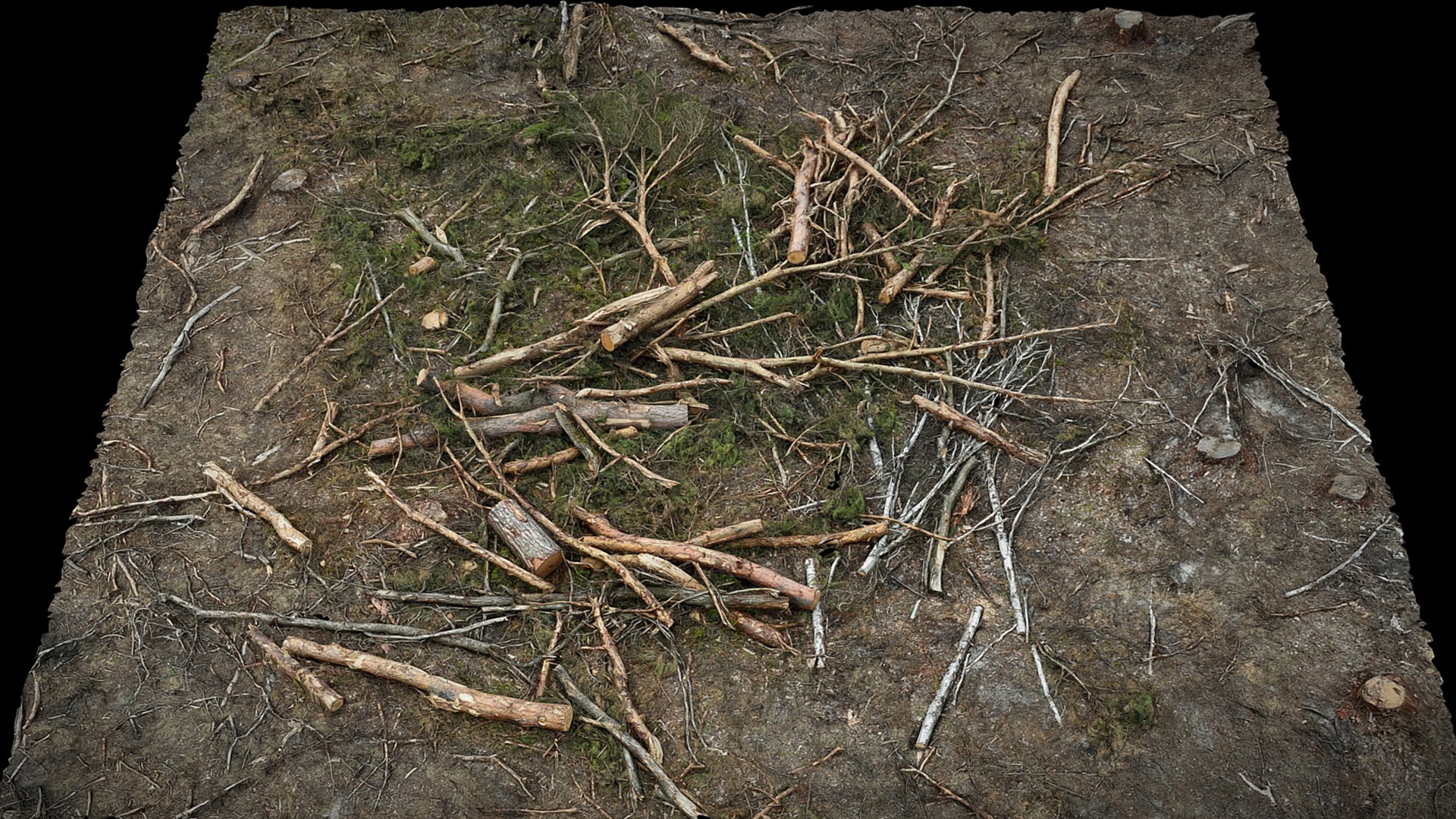 Forest Ground Broken Trees Branches Pile Photogrammetry 3D Model ...