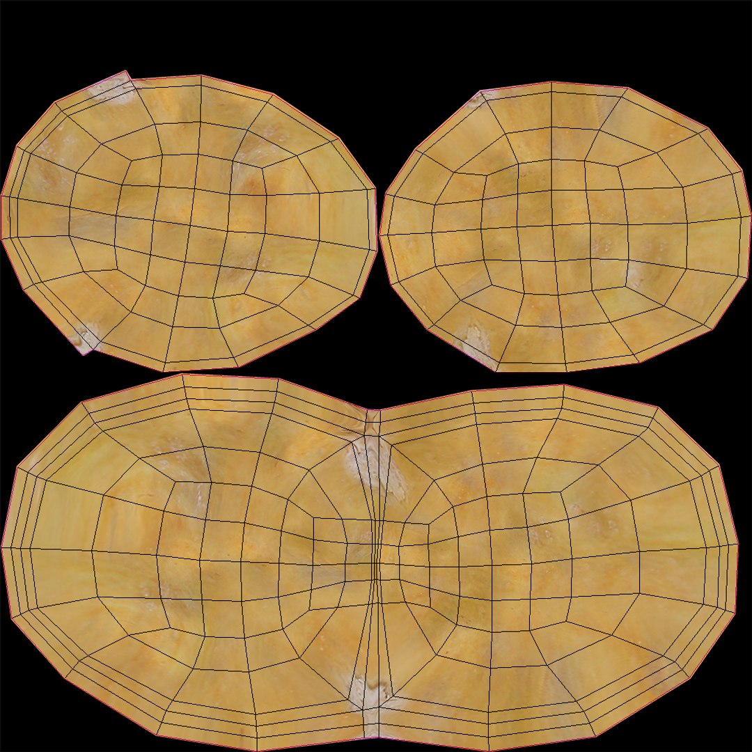 Pistachio Core Shell 3D Model - TurboSquid 1286768