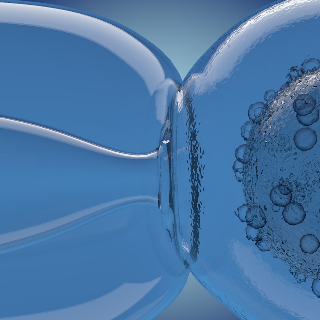 Artificial Insemination 3D Model - TurboSquid 1513659