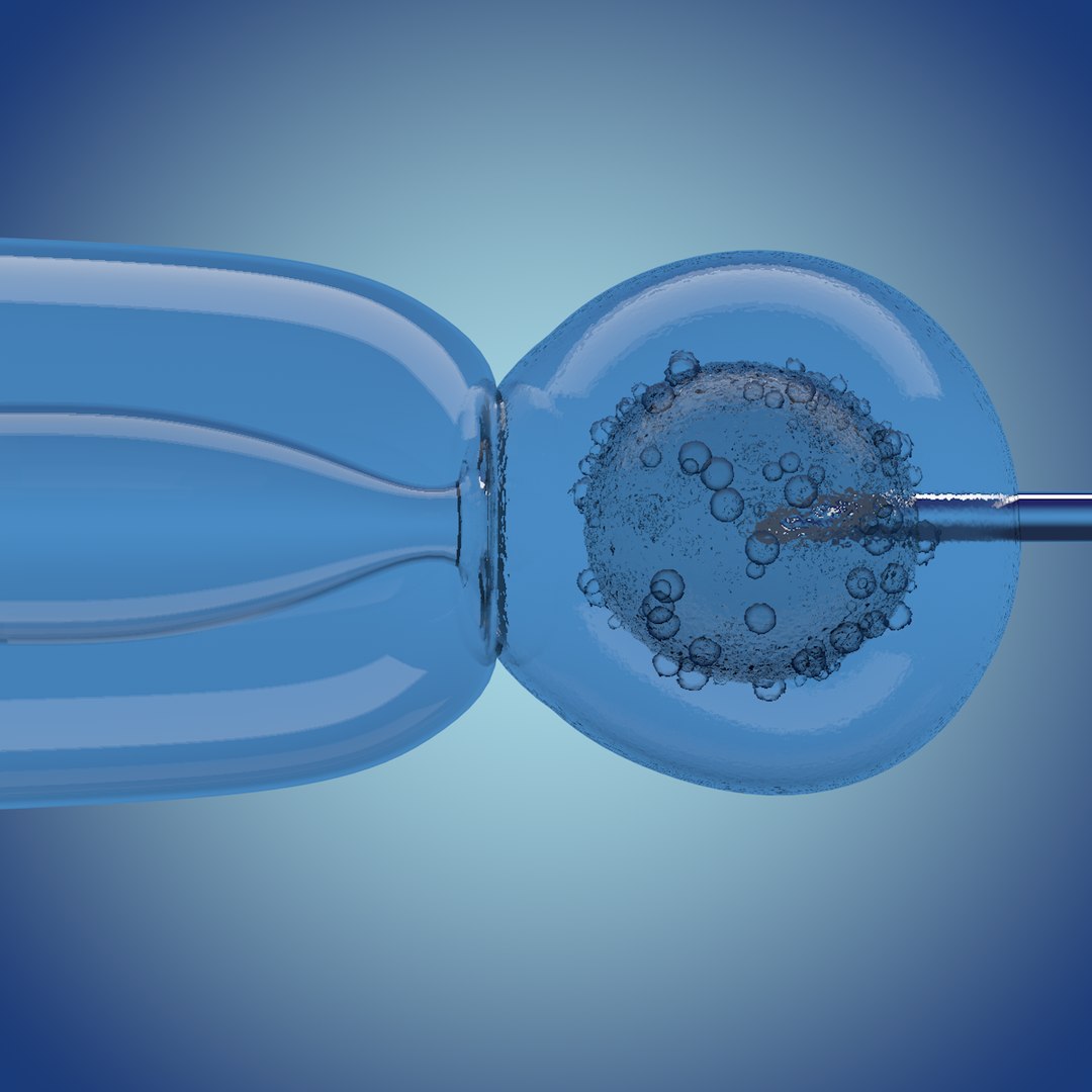 Artificial Insemination 3D Model - TurboSquid 1513659