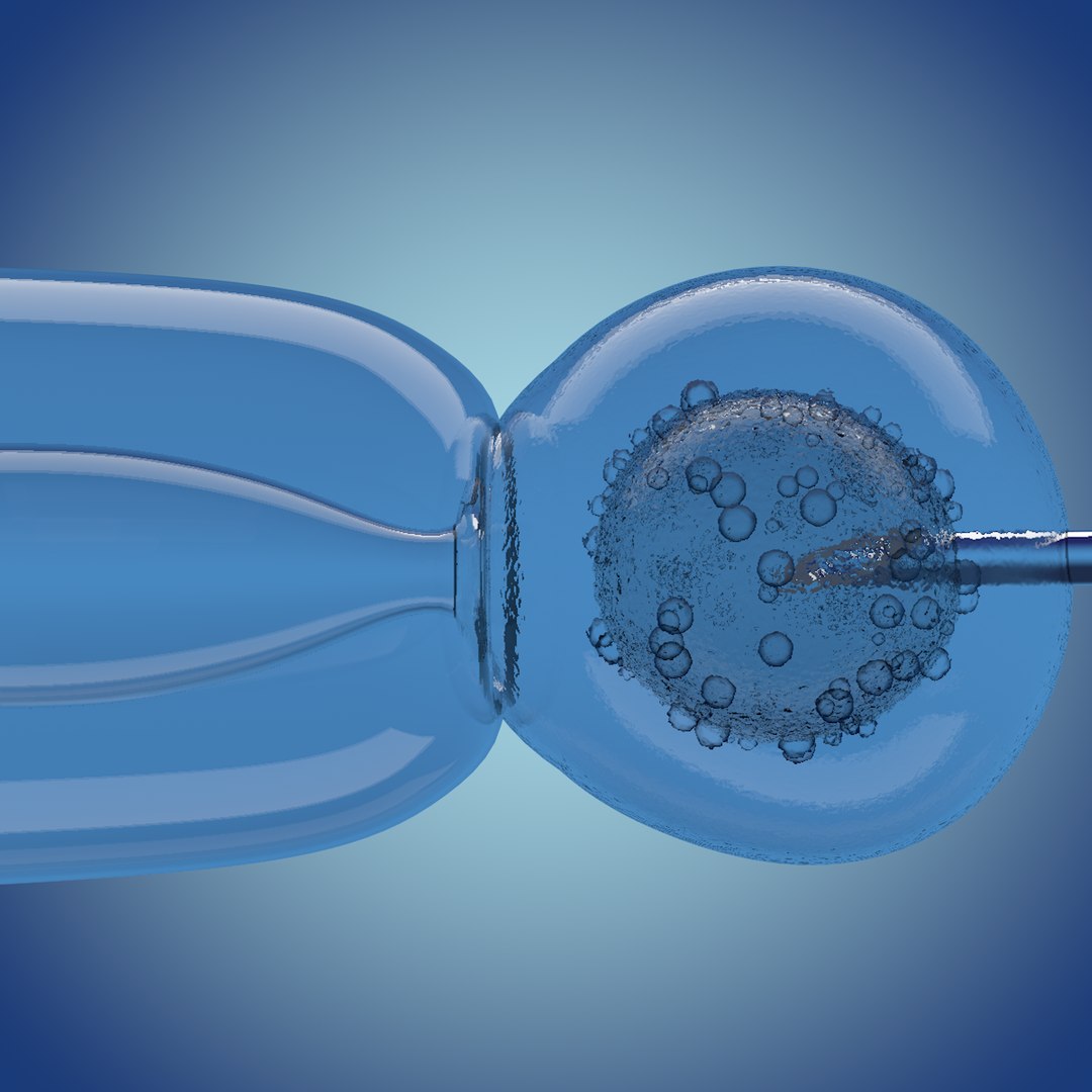 Artificial Insemination 3D Model - TurboSquid 1513659