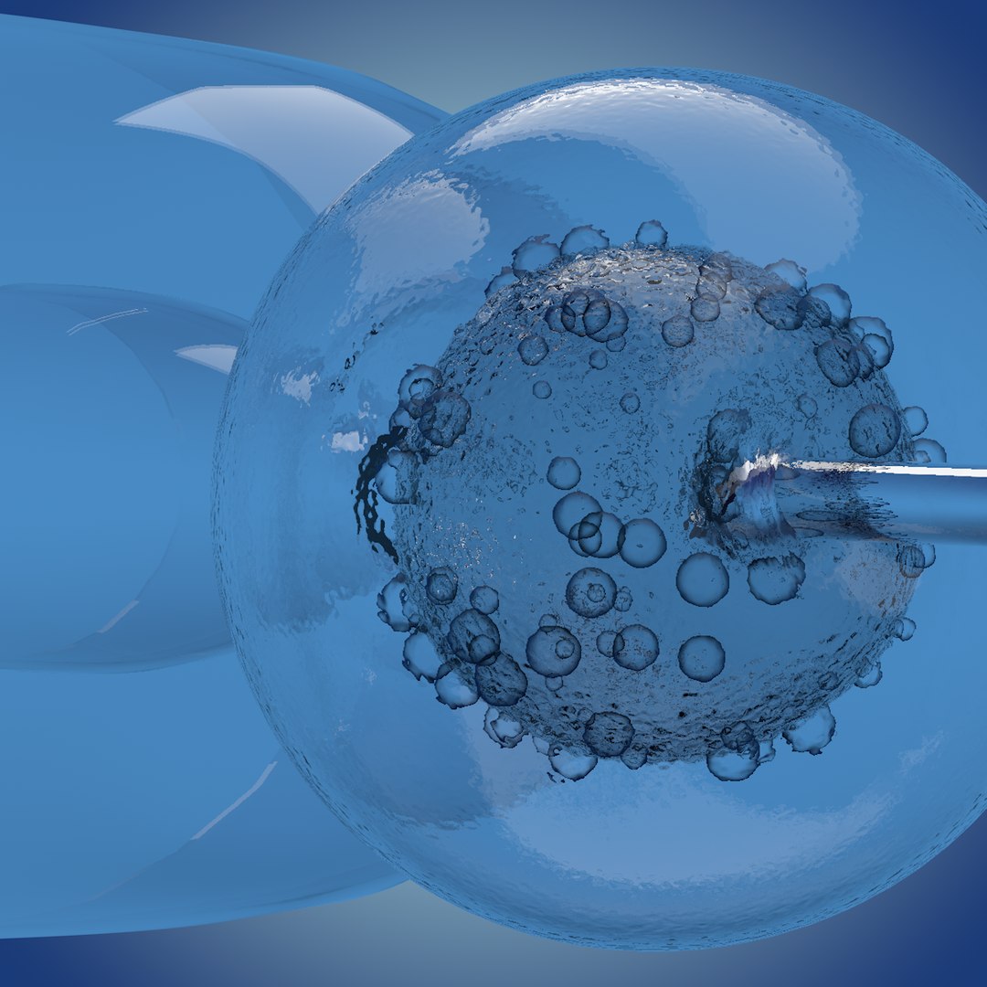 Artificial Insemination 3D Model - TurboSquid 1513659