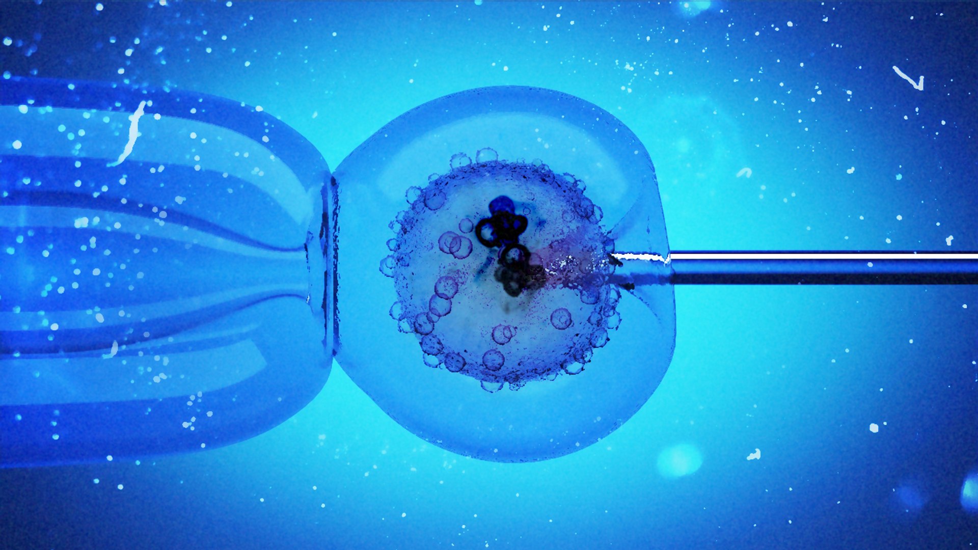 Artificial Insemination 3D Model - TurboSquid 1513659