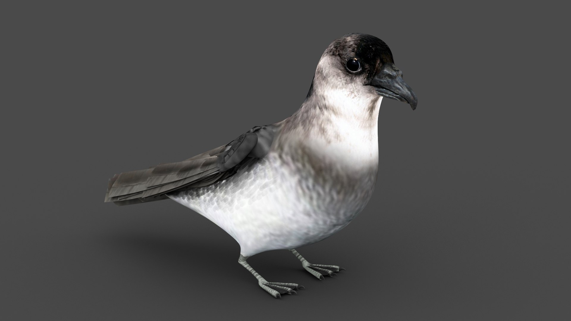 3D Yunco - TurboSquid 2147530
