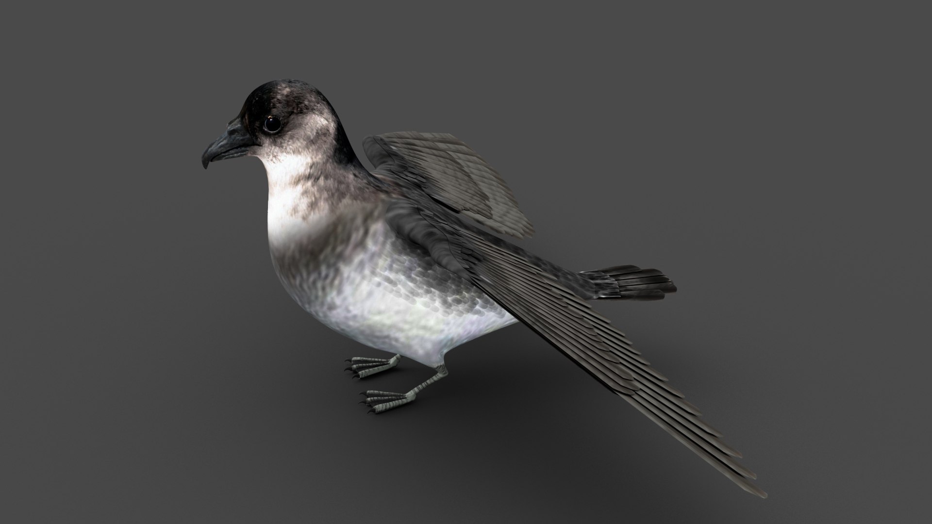 3D Yunco - TurboSquid 2147530