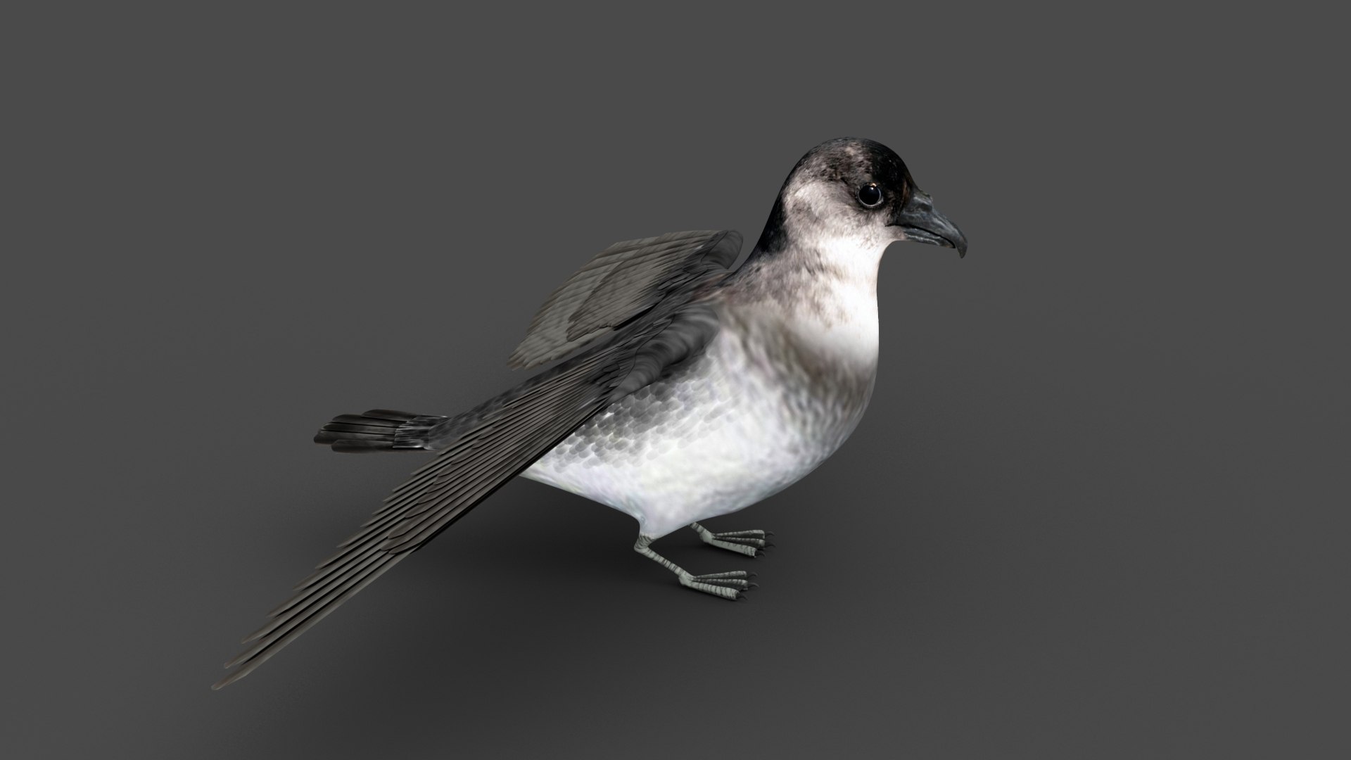 3D Yunco - TurboSquid 2147530
