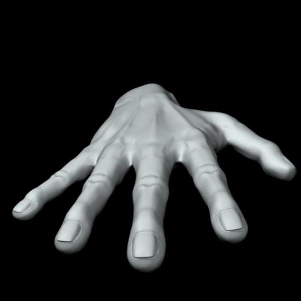 Hand 3D Models for Download | TurboSquid