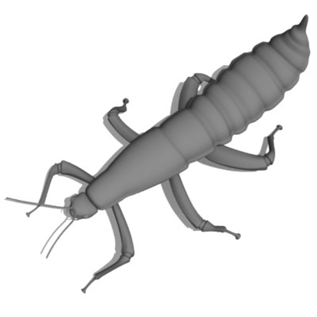 spectre insect 3d model