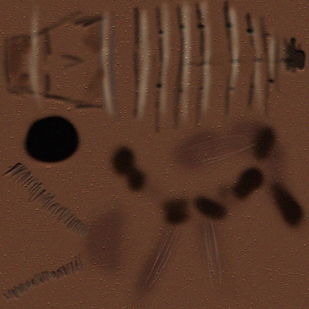 spectre insect 3d model