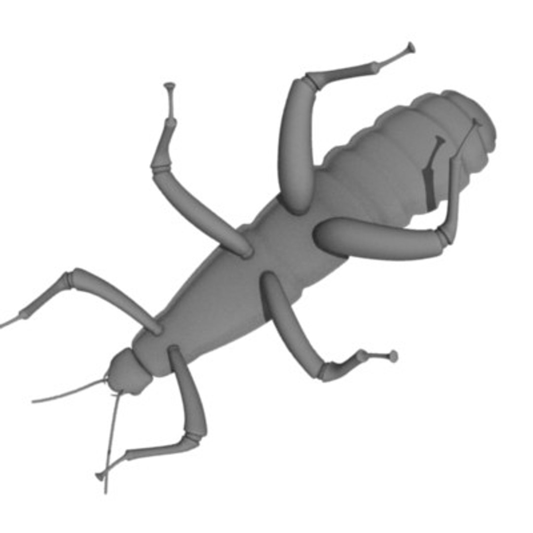 spectre insect 3d model