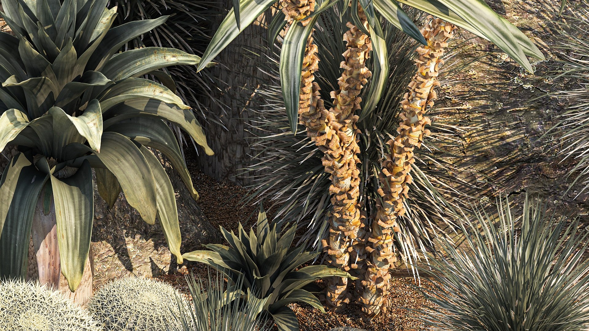 3D Collection Of Desert Plants From Dracaena And Yucca Cactus Model ...