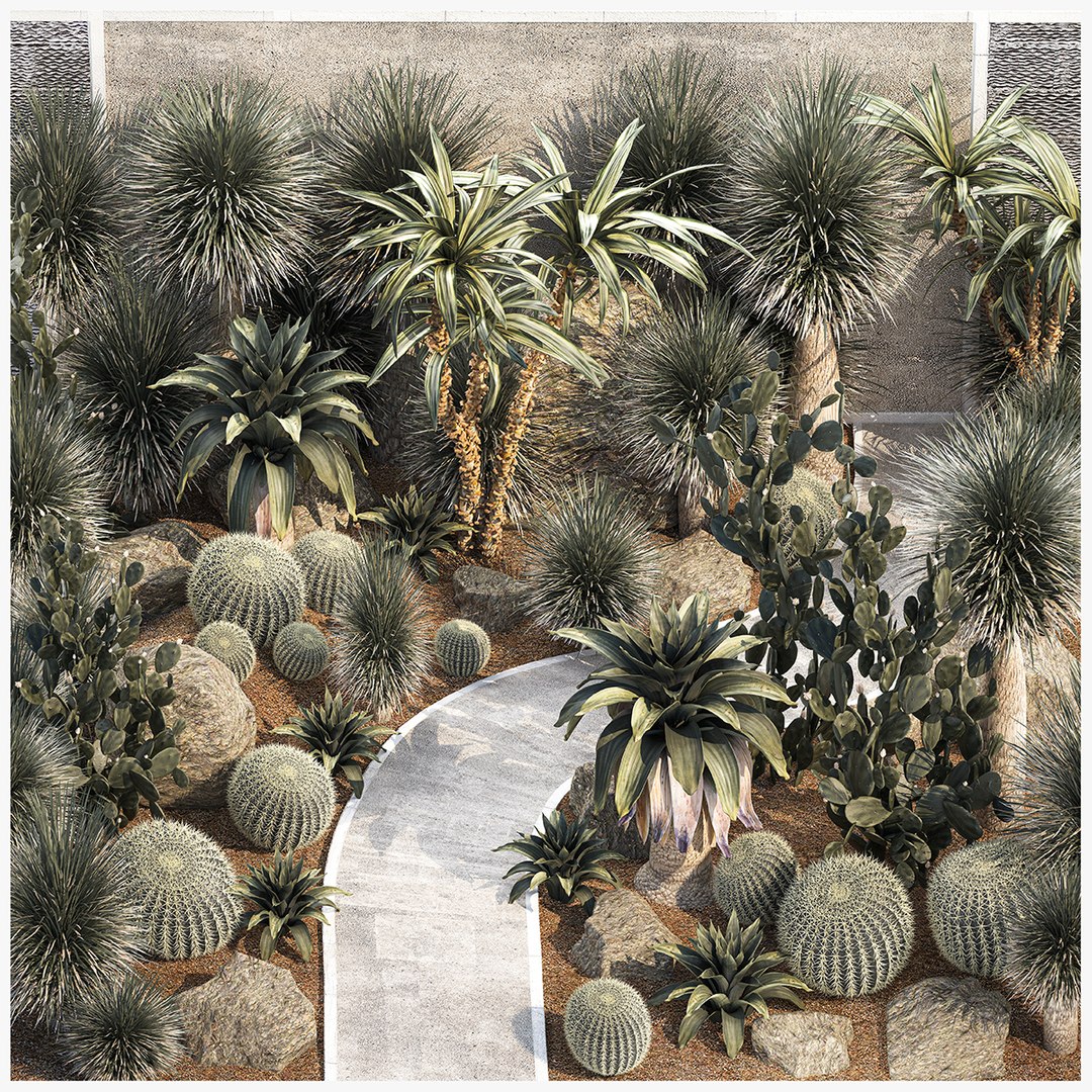 3D Collection of desert plants from Dracaena and Yucca Cactus model ...
