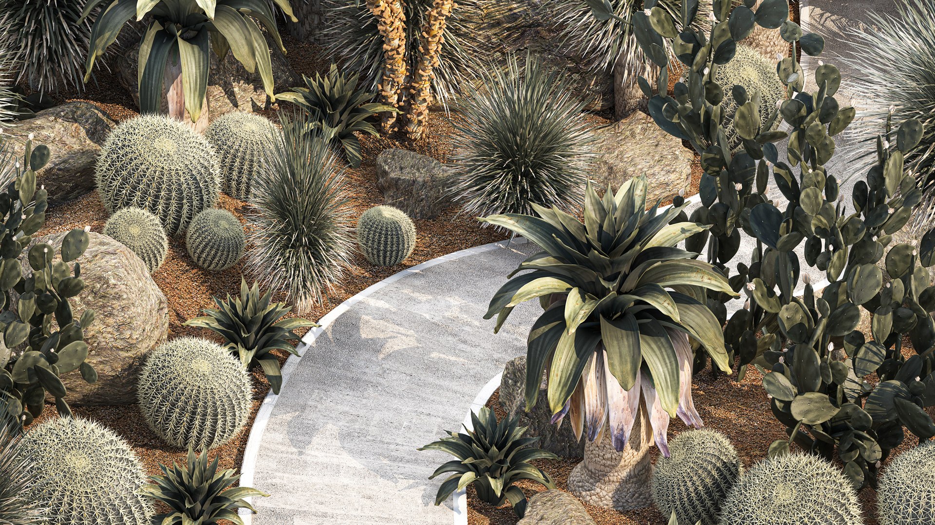 3D Collection Of Desert Plants From Dracaena And Yucca Cactus Model ...