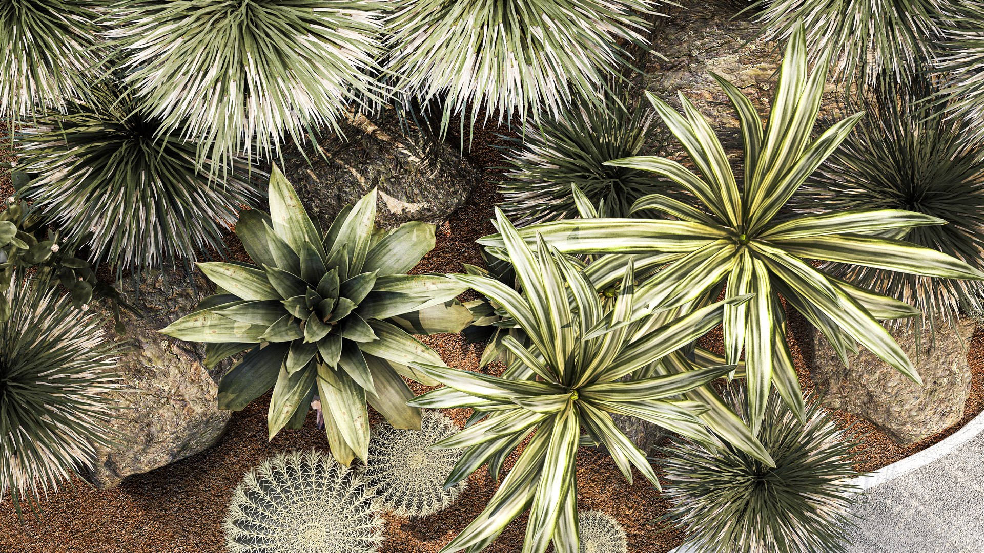 3D Collection Of Desert Plants From Dracaena And Yucca Cactus Model ...