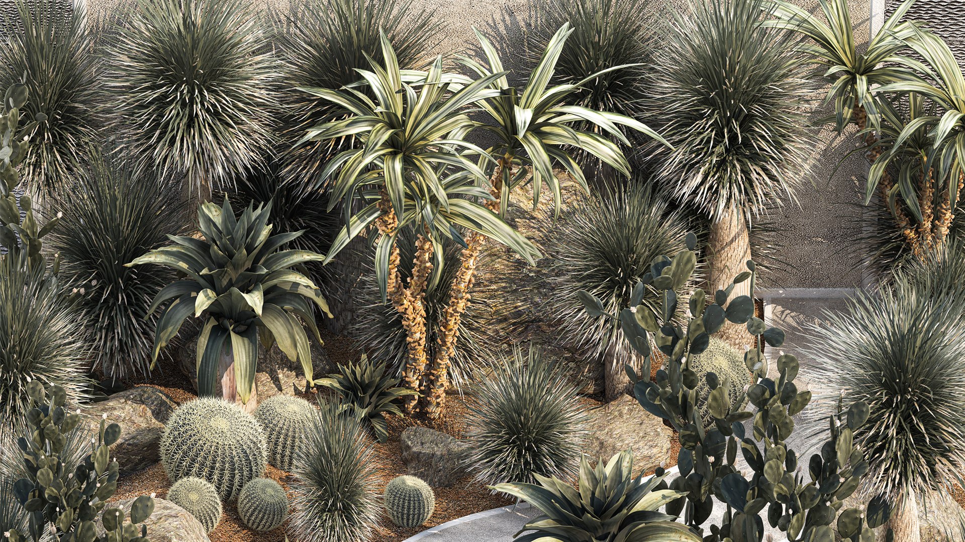 3D Collection Of Desert Plants From Dracaena And Yucca Cactus Model ...