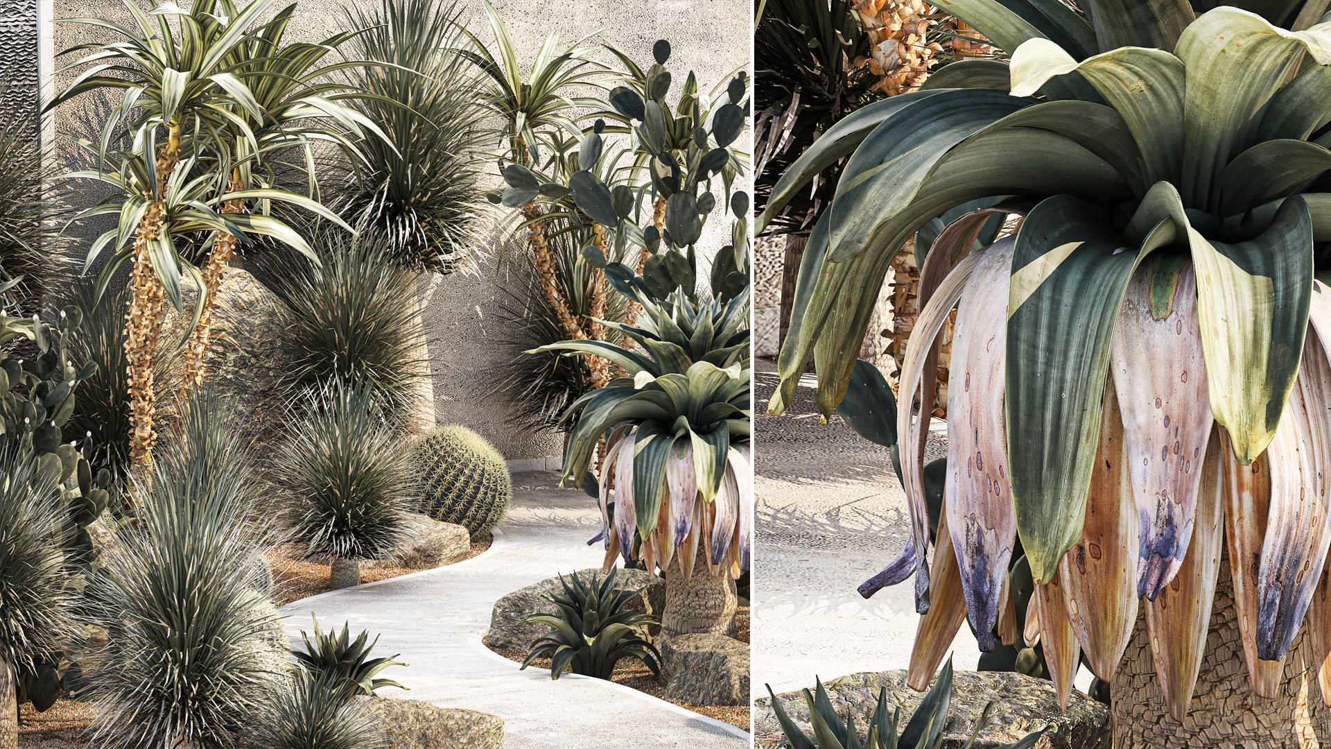 3D Collection Of Desert Plants From Dracaena And Yucca Cactus Model ...