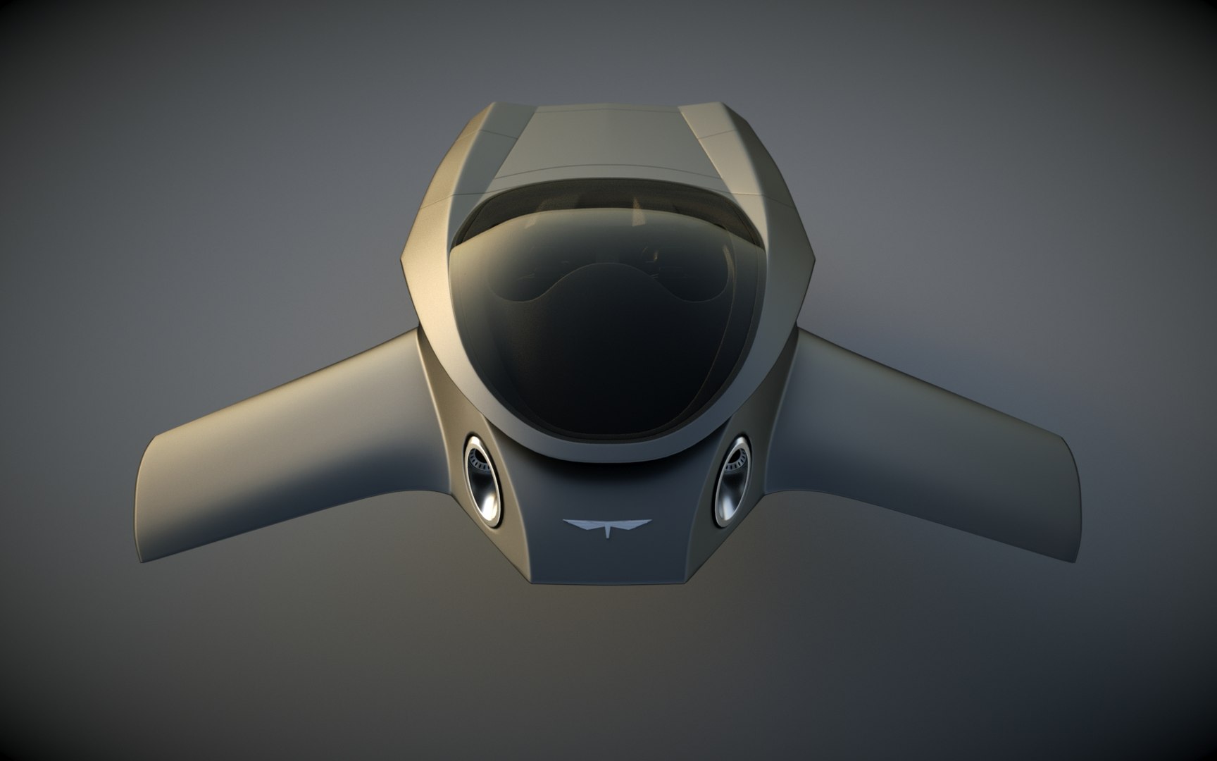 3d Stealth Originally Designed Model