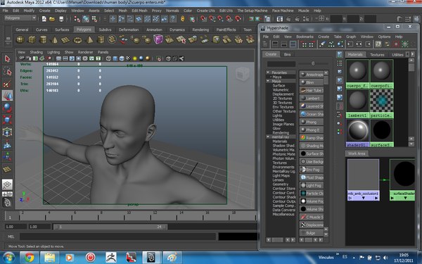 Human Body 3D Models for Download | TurboSquid