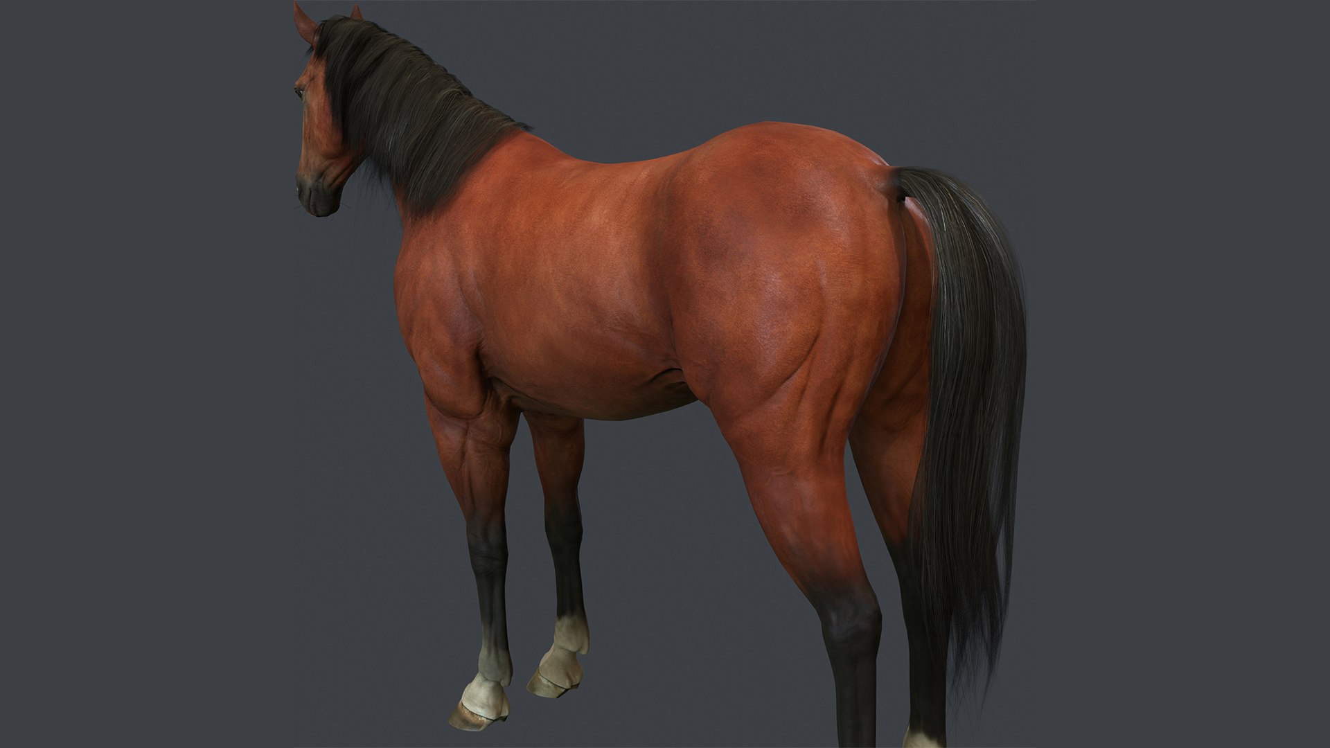 Realistic Horse 3D - TurboSquid 1708776