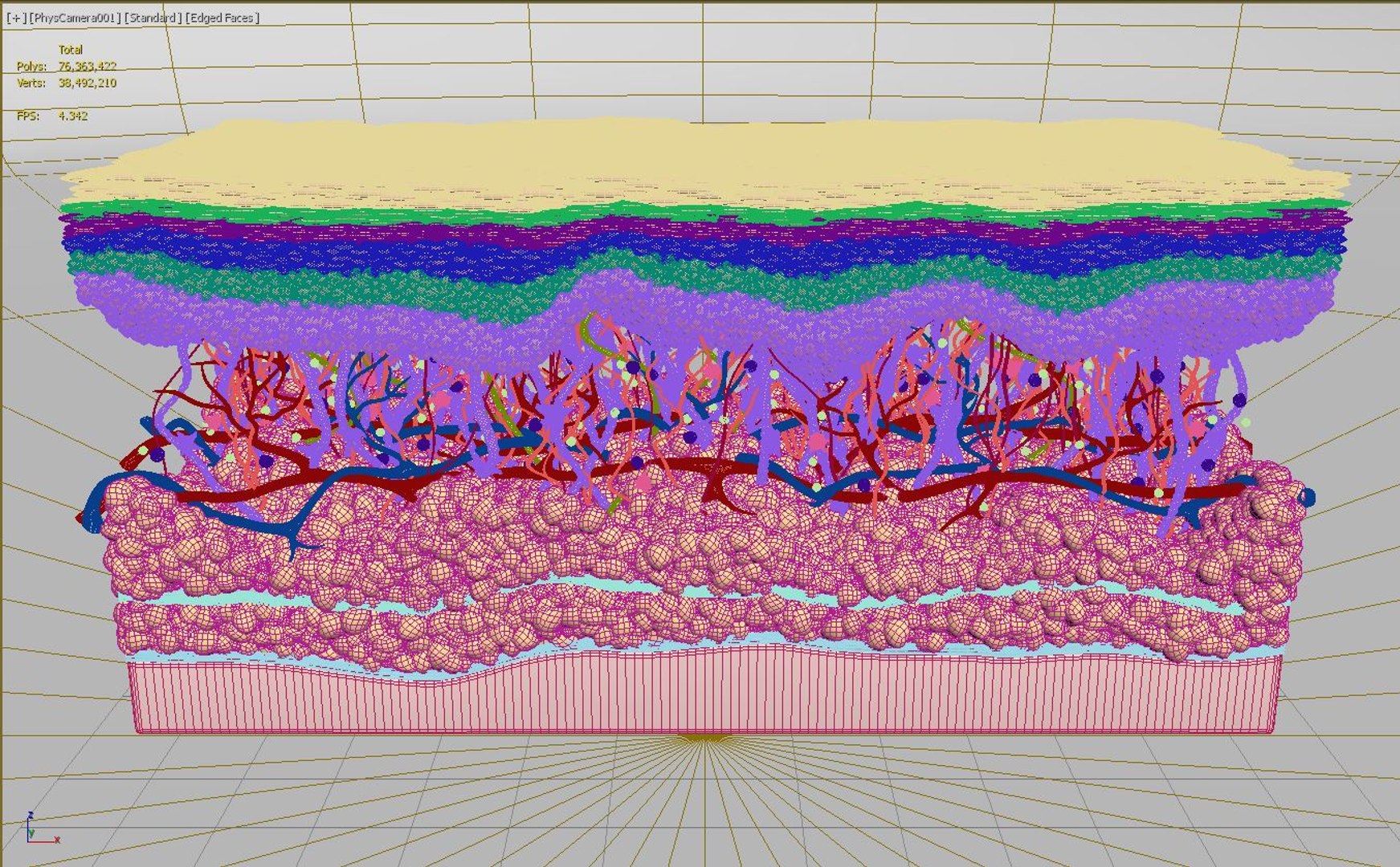 3D Model Cross Section Skin - TurboSquid 1412978