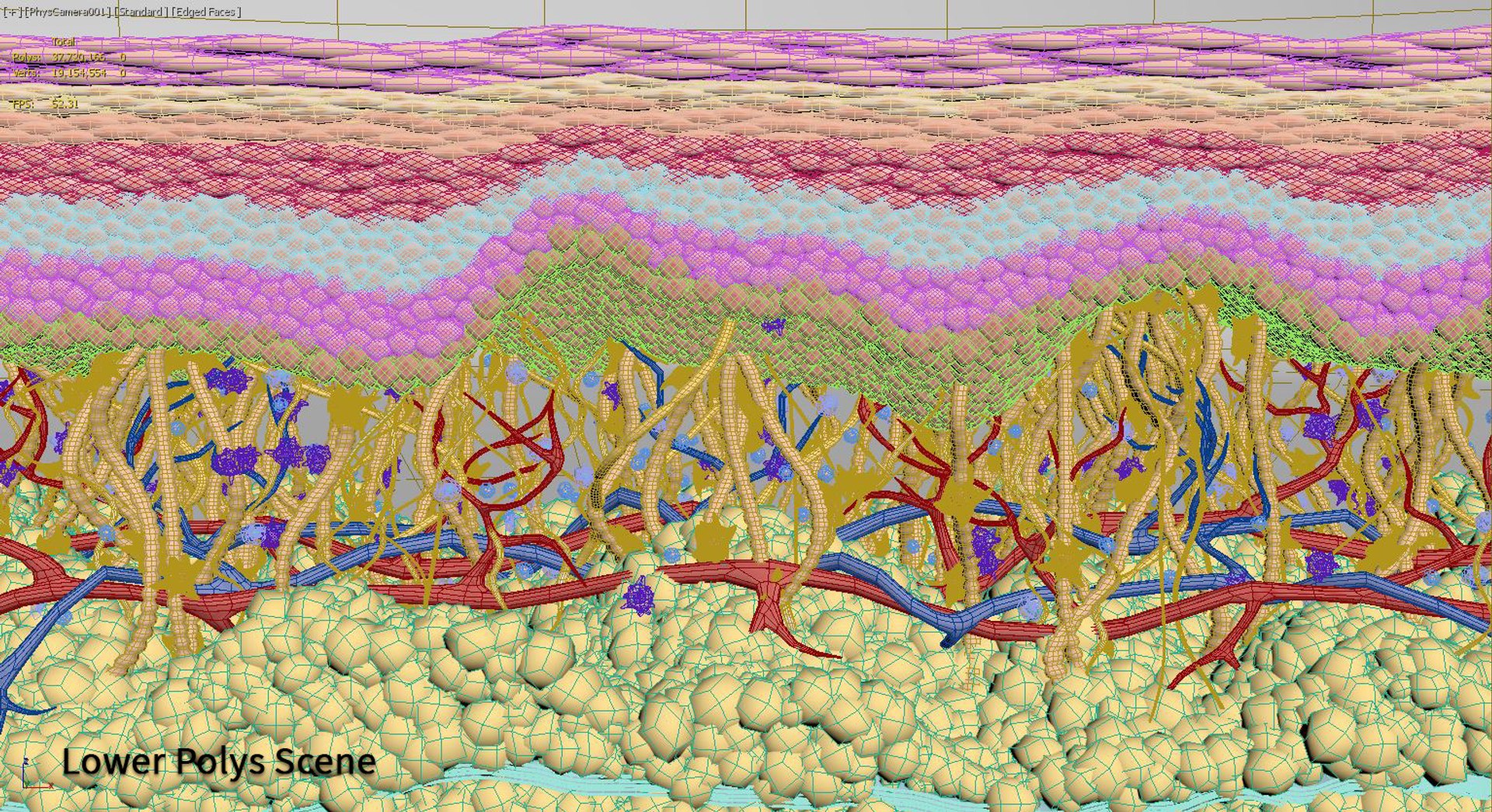 3D Model Cross Section Skin - TurboSquid 1412978
