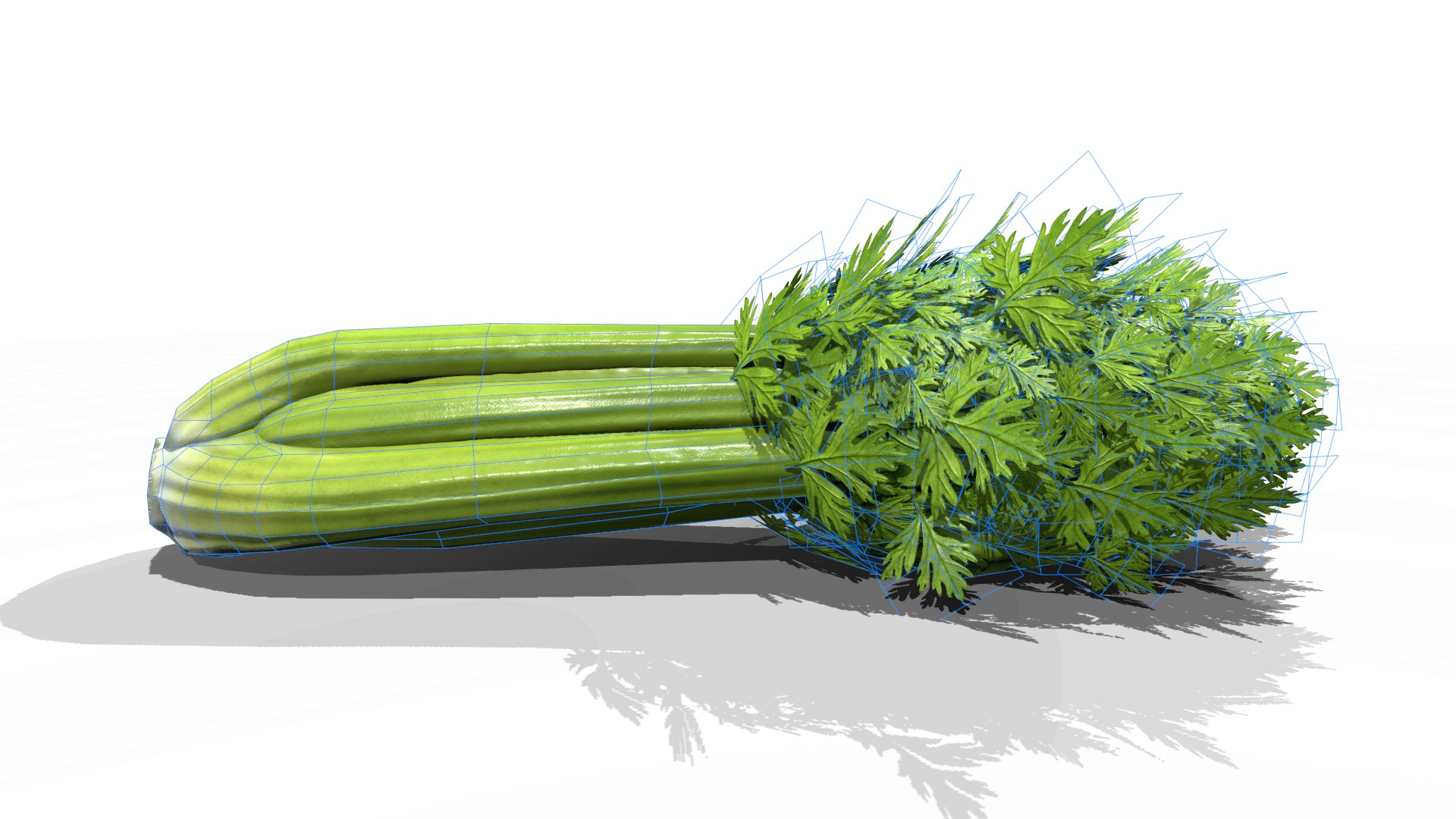 Celery 3D Model - TurboSquid 2052262