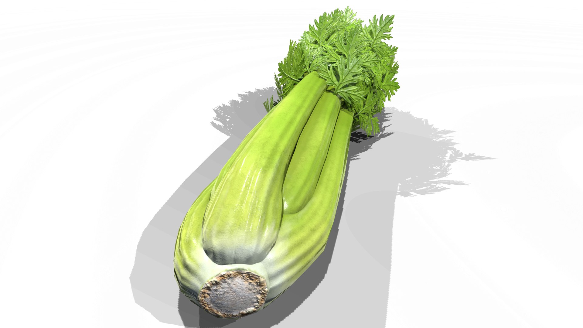 Celery 3D Model - TurboSquid 2052262