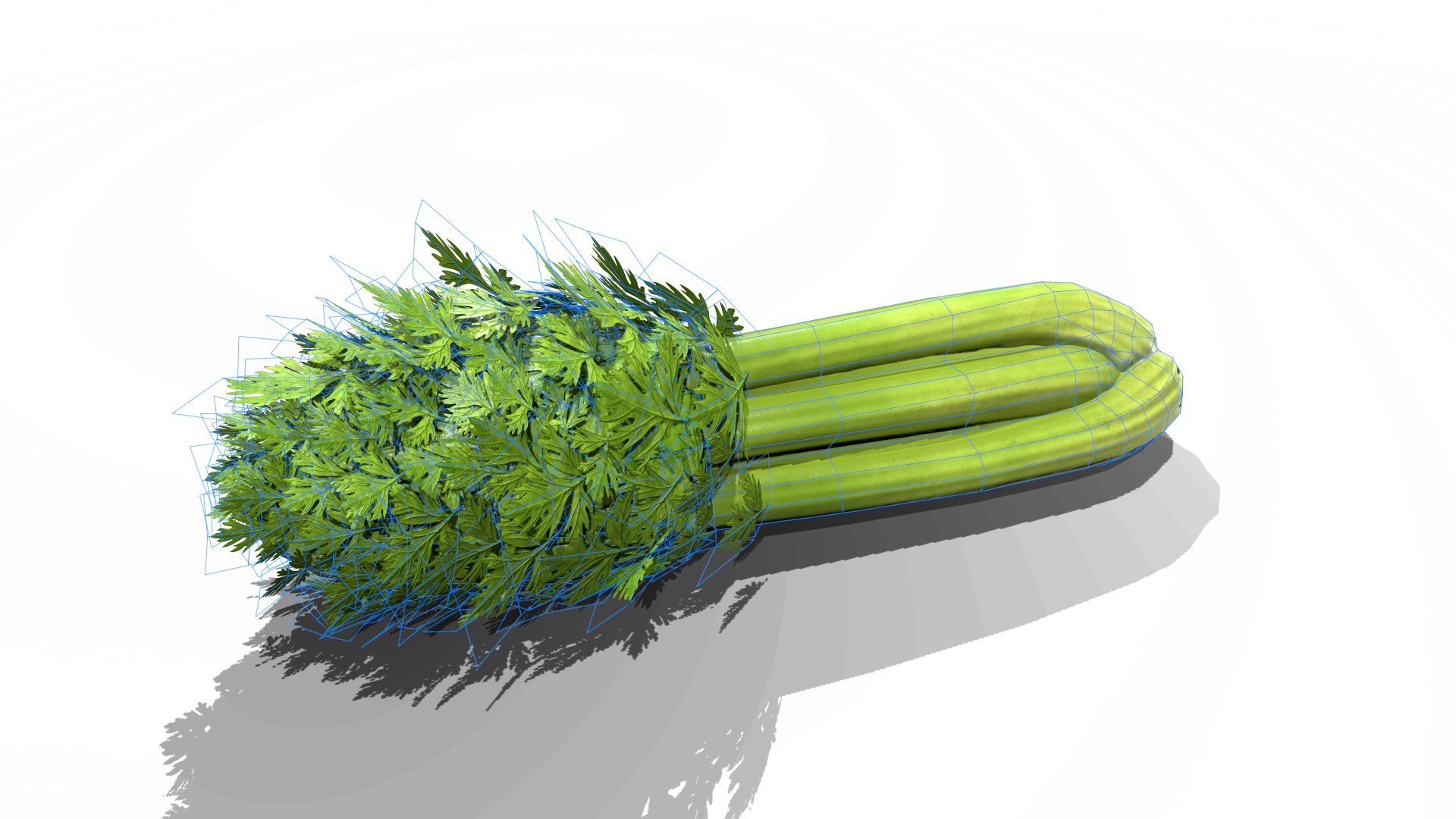 Celery 3D Model - TurboSquid 2052262
