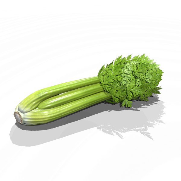 modelo 3d Celery - TurboSquid 2052262