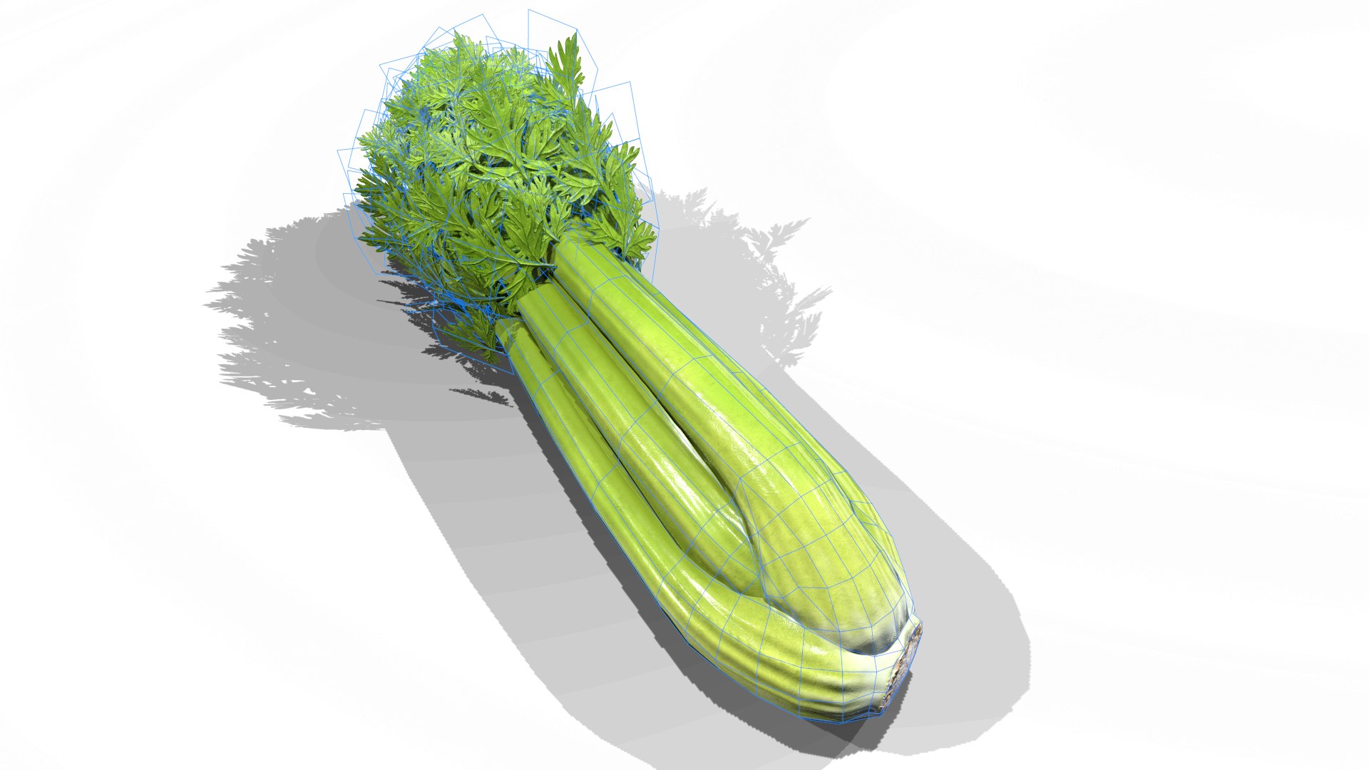 Celery 3D Model - TurboSquid 2052262