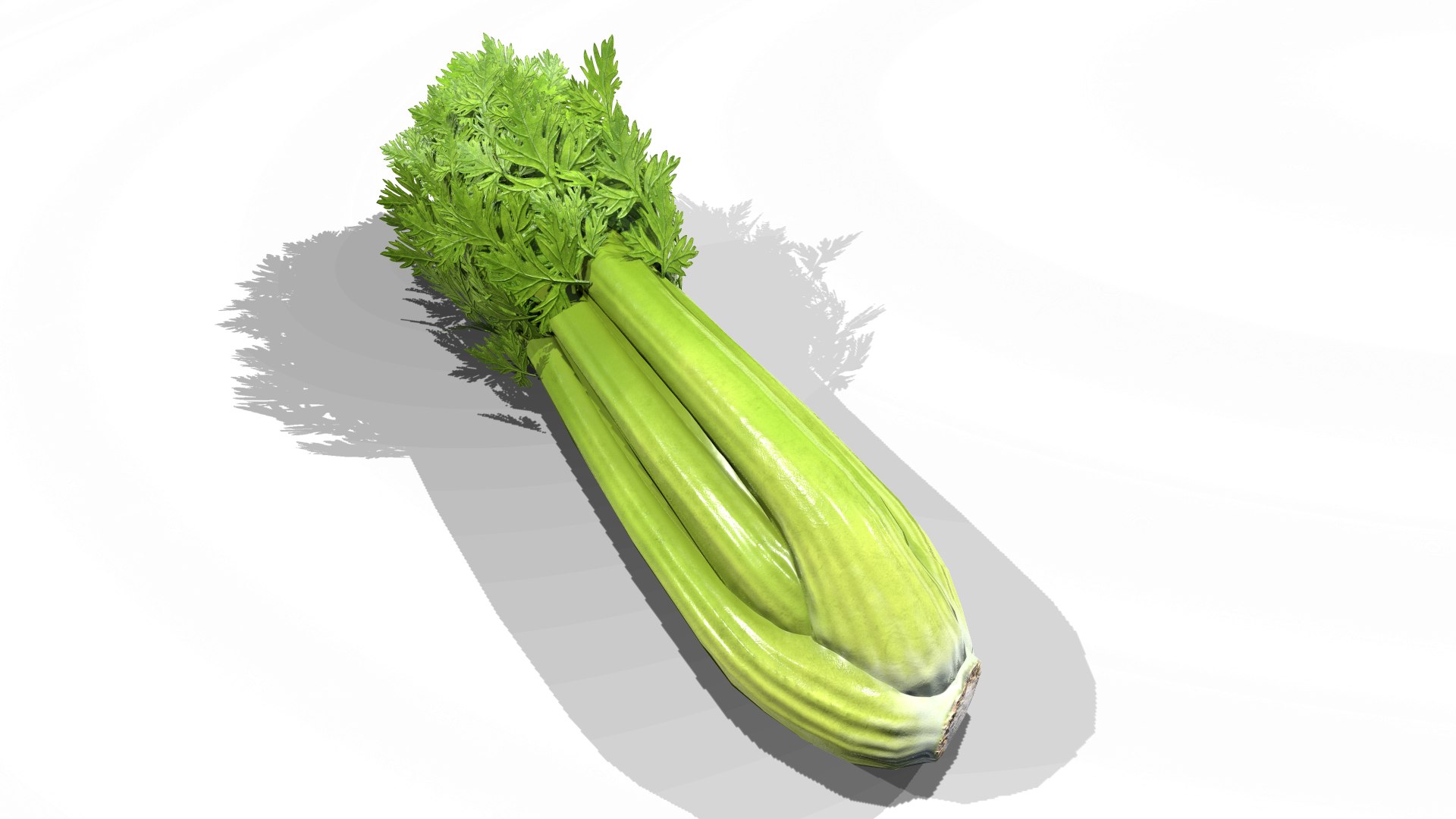 Celery 3D Model - TurboSquid 2052262