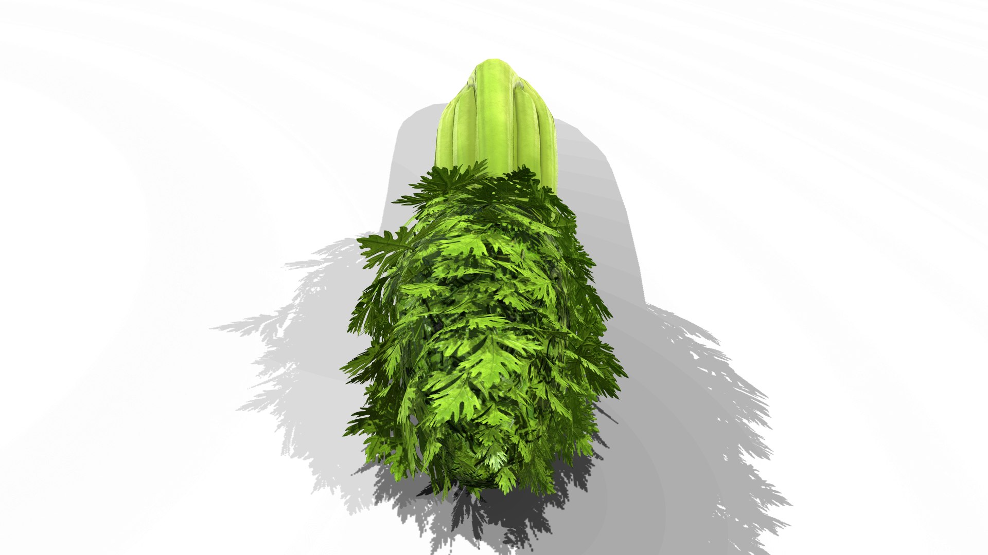 Celery 3D Model - TurboSquid 2052262