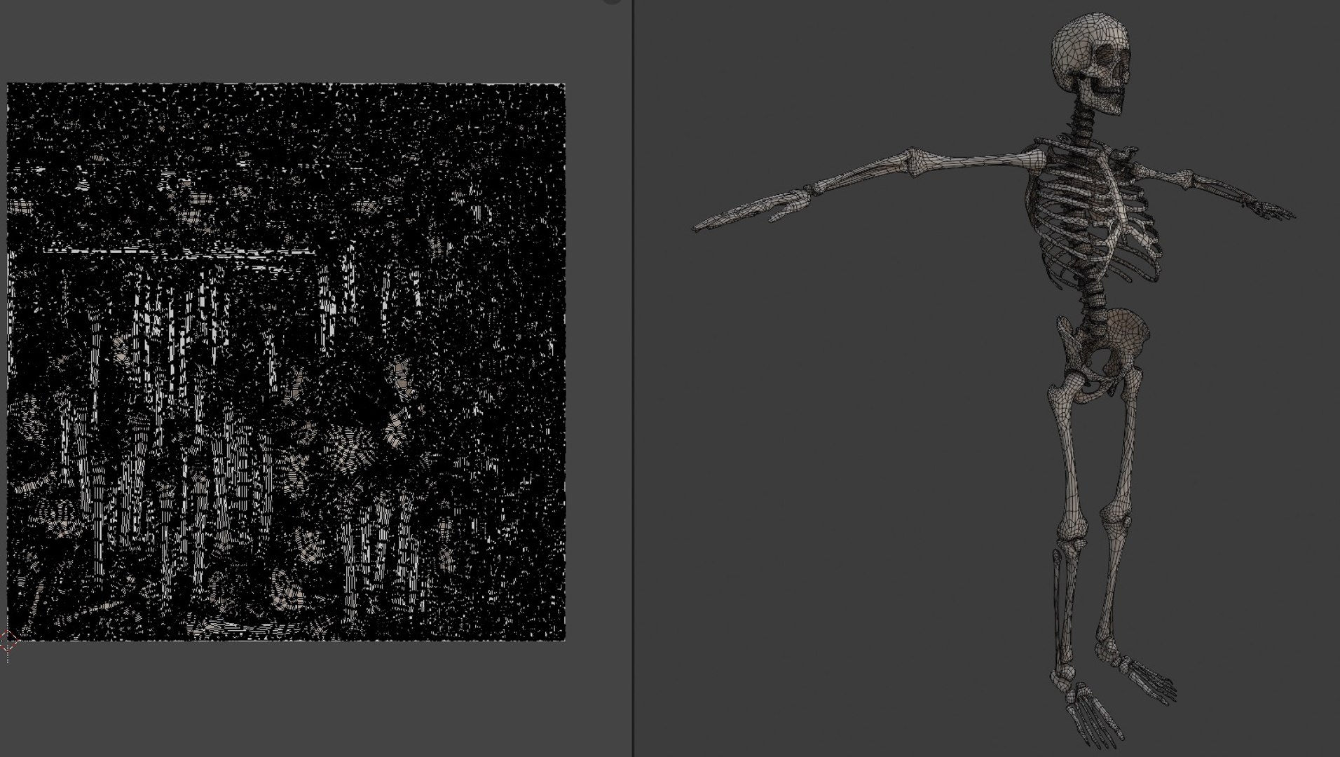 3D Medical Skelegon Model - TurboSquid 1641226